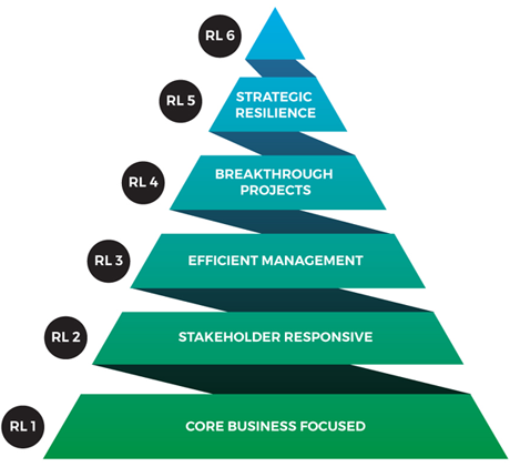 Capacity Diagnosis & Development - Response Levels
